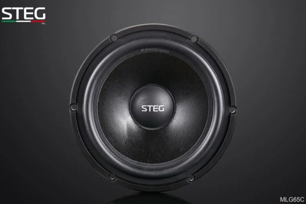 SPEAKERS – Page 4 – STEG Australia